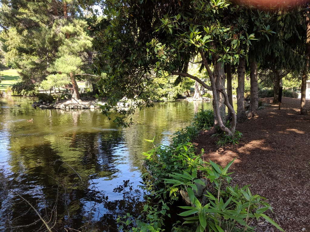 Duck Pond, Point Defiance Park, Tacoma WA ~ Photos – Journeys with ...