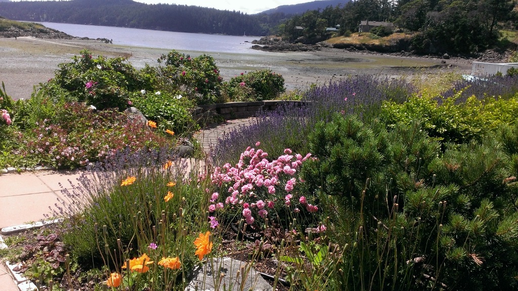 Summer Memories Last Forever ~ Photos ~ Quotes – Journeys with Eileen Diane
